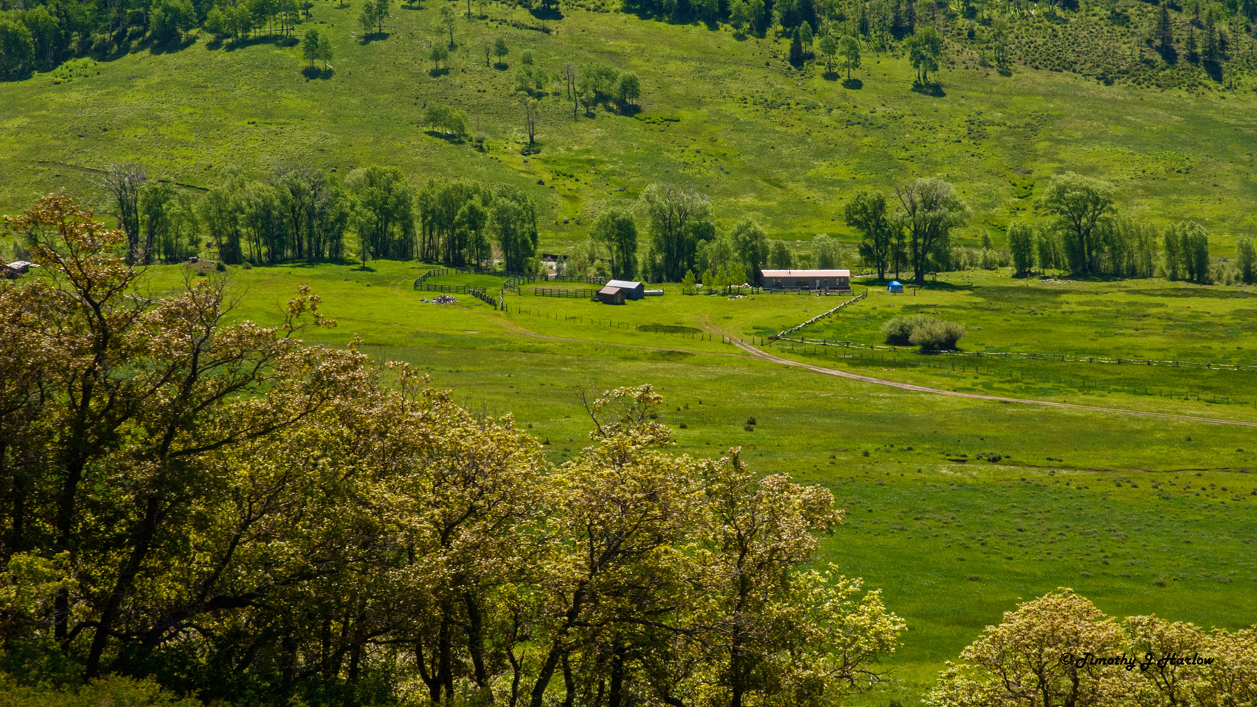 Scenes from Chama – Tim's Viewpoints & Visuals