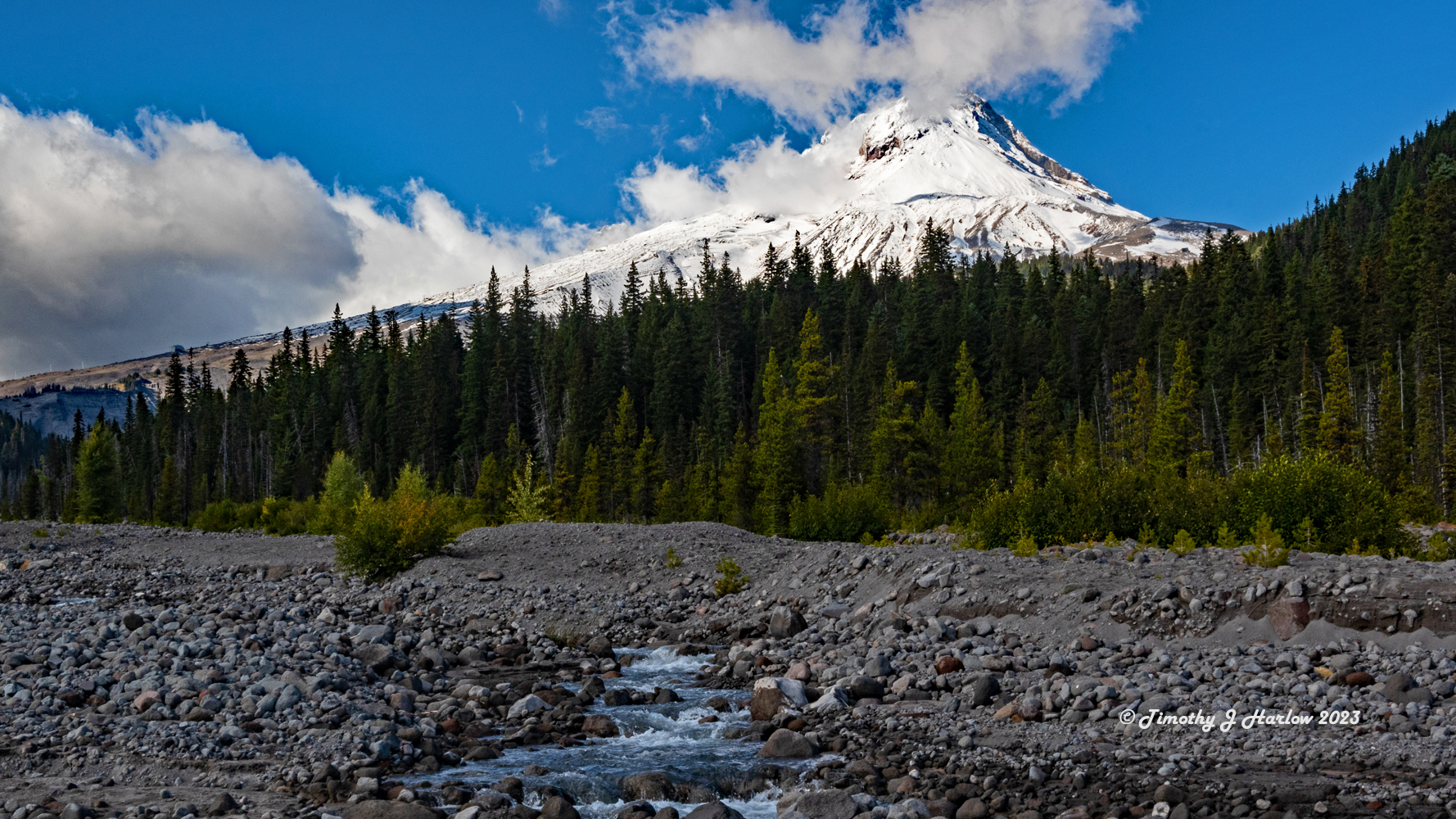 Majestic Mt. Hood – Tim's Viewpoints & Visuals