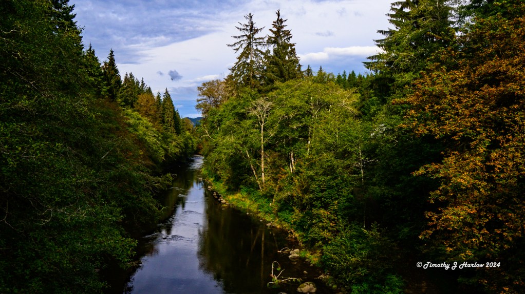Cape Flattery: A Hidden Gem in Washington State – Tim's Viewpoints ...