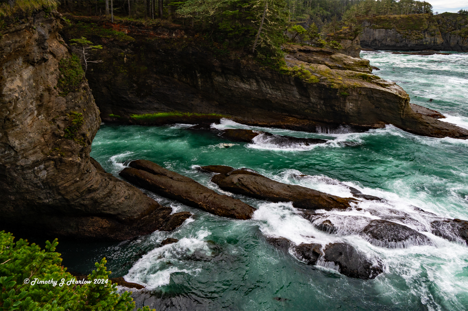 Cape Flattery: A Hidden Gem in Washington State – Tim's Viewpoints ...