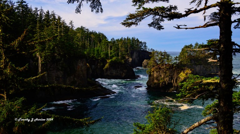 Cape Flattery: A Hidden Gem in Washington State – Tim's Viewpoints ...
