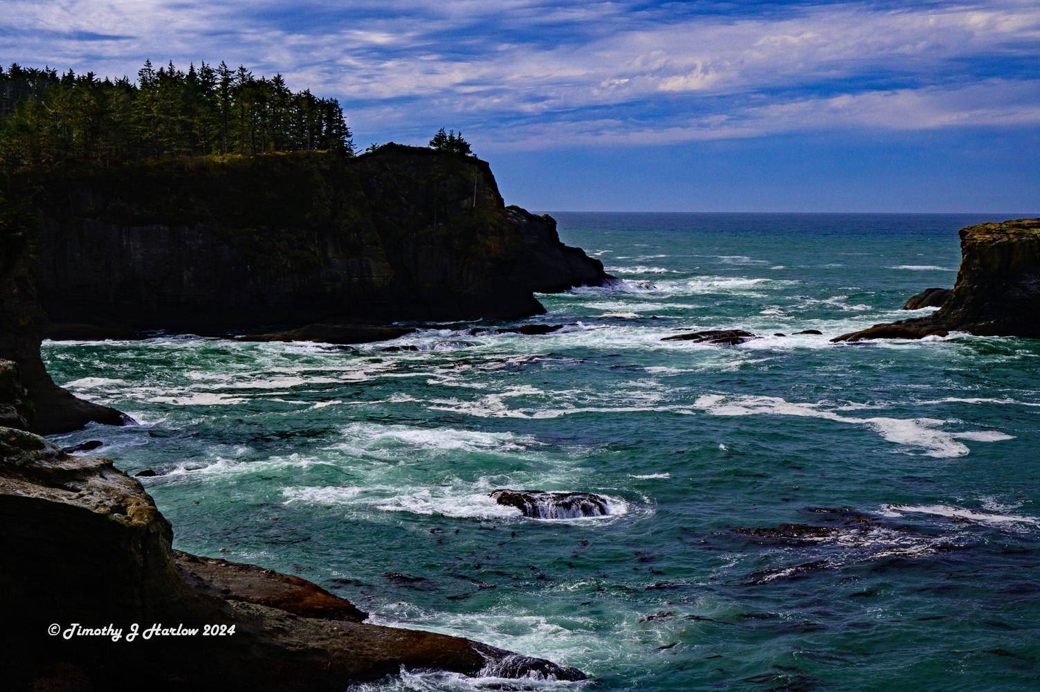 Cape Flattery: A Hidden Gem in Washington State – Tim's Viewpoints ...