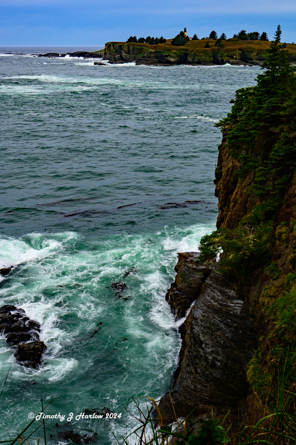 Cape Flattery: A Hidden Gem in Washington State – Tim's Viewpoints ...