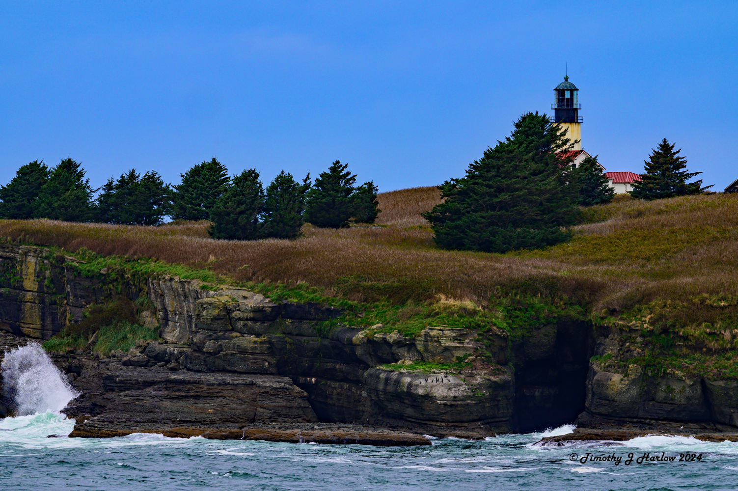Cape Flattery: A Hidden Gem in Washington State – Tim's Viewpoints ...