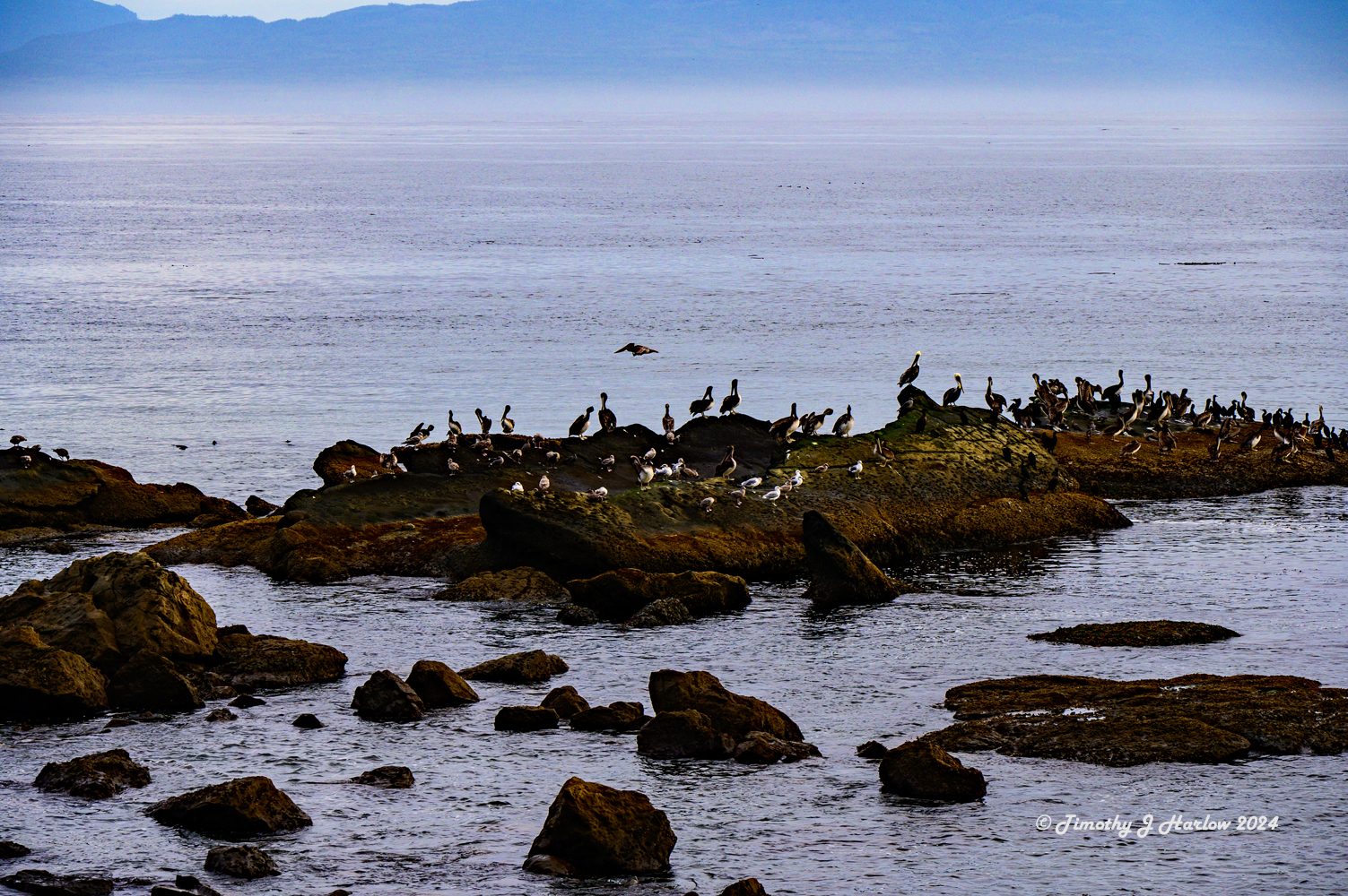 Cape Flattery: A Hidden Gem in Washington State – Tim's Viewpoints ...