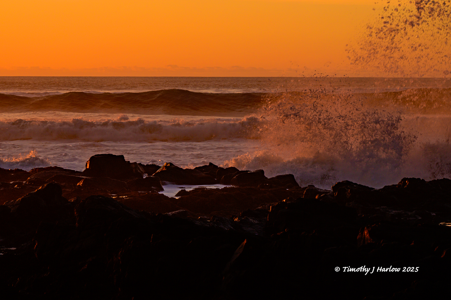 Exploring the Devil’s Churn: A Hidden Gem on the Oregon Coast – Tim's ...