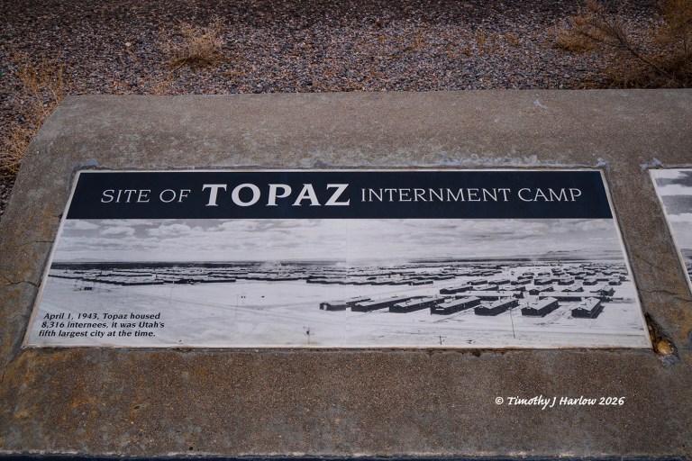 Remembering Topaz: Lessons from Japanese American Internment – Tim's ...