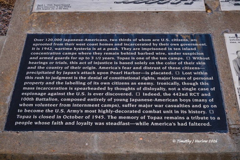Remembering Topaz: Lessons from Japanese American Internment – Tim's ...